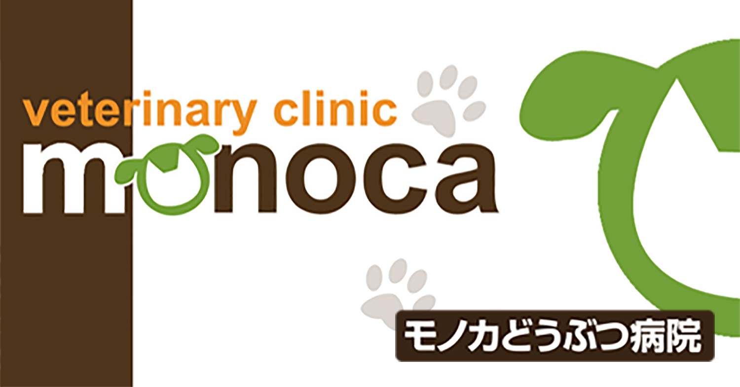 院長紹介 | モノカどうぶつ病院